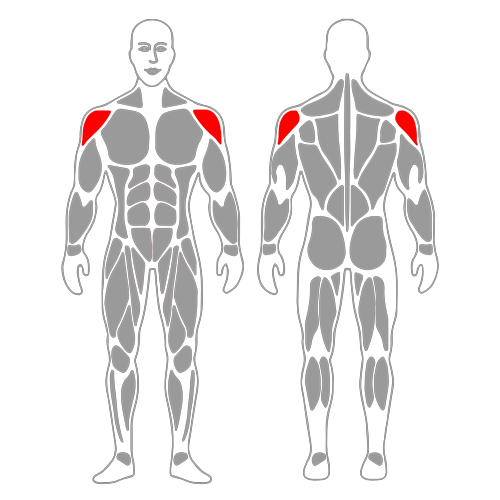 Aperturas invertidas con agarre horizontal - Ejercicio