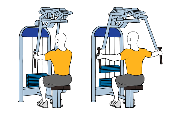Aperturas invertidas con agarre vertical - Ejercicio