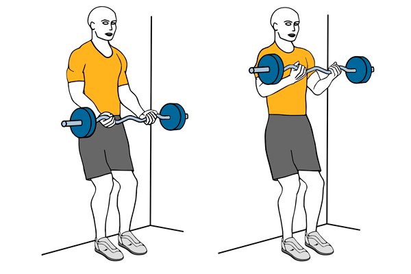 Curl de biceps con barra en z de pie apoyados en la pared - Ejercicio