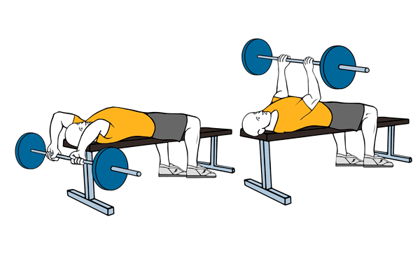 Pullover con barra en banco plano - Ejercicio